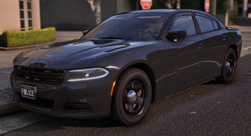 Whelen Slicktop 2023 Charger – Hoosier Modifications